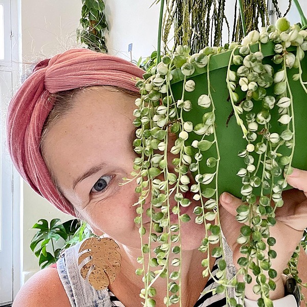 Twig Plants | Linktree