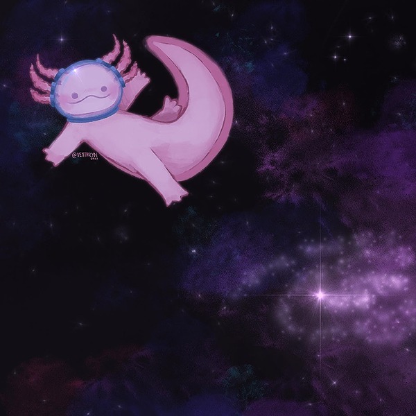 shmeep | TikTok | Linktree