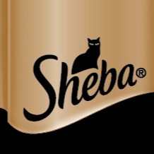 @sheba_deutschland | Linktree