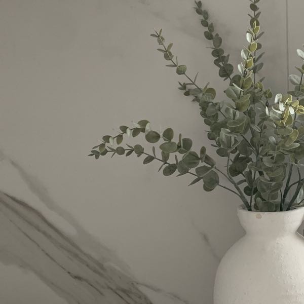 Classic & Charming | TikTok | Linktree