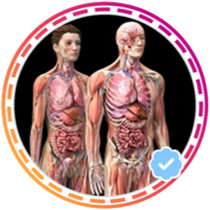 Anatomy Decoded | Twitter, Instagram, Facebook | Linktree