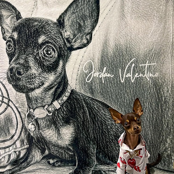 Jordan Valentino | Instagram, TikTok | Linktree