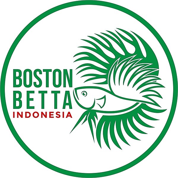 Boston Betta | Instagram | Linktree