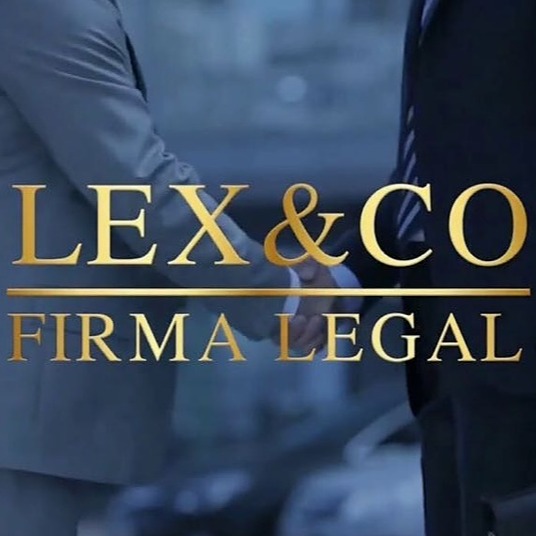 Firma Lex & Co | TikTok | Linktree