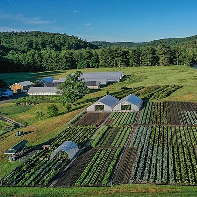 @neversinkfarm | Linktree