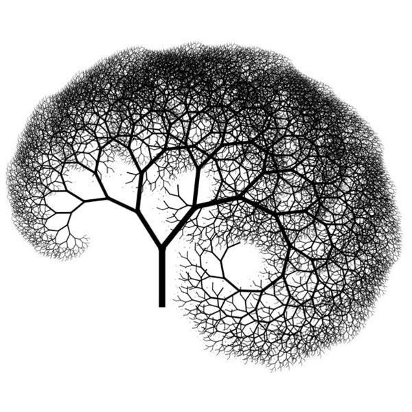 El árbol fractal concentrado | Linktree