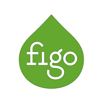 Figo il Gelato | Instagram, Facebook, TikTok | Linktree