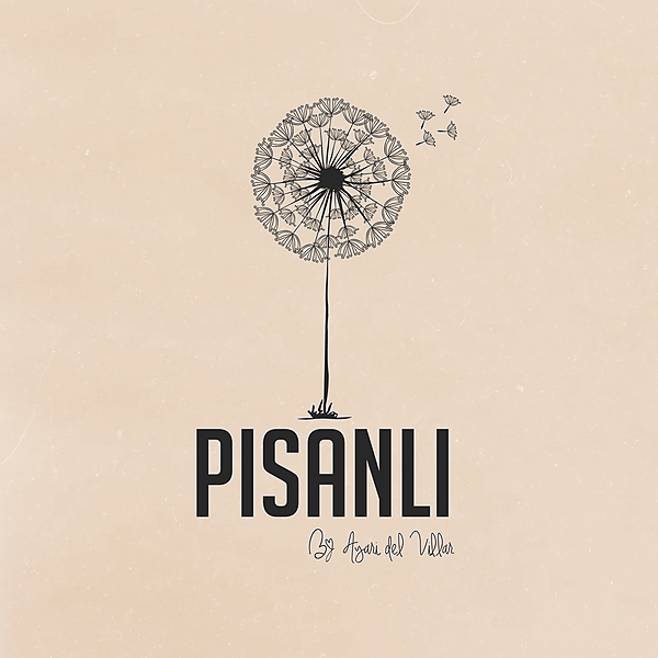Pisanli Mexico | YouTube | Linktree
