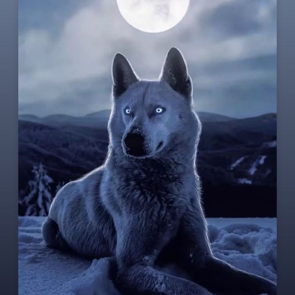 Akashic Pathfinder | Linktree