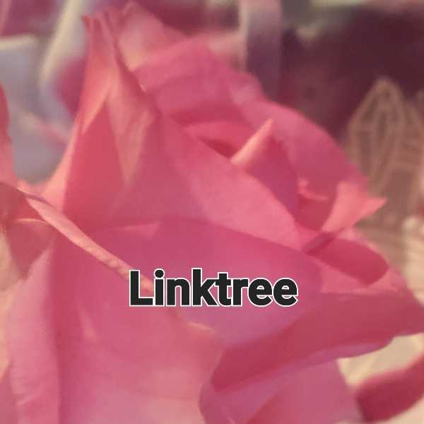 Catrina's links | Instagram, TikTok | Linktree