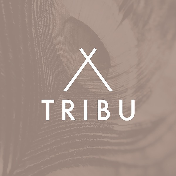 Tribu | Linktree