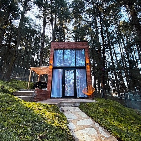 TinyChillHouse | Linktree