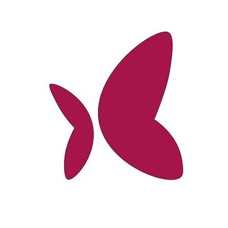 CONKIST BASICS | Linktree