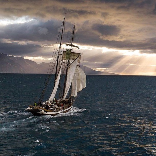 Ocean Missions Iceland | Linktree