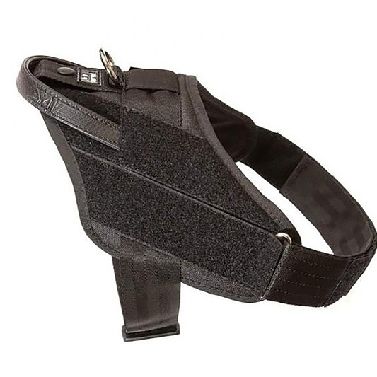 @Chinothegsd | Linktree