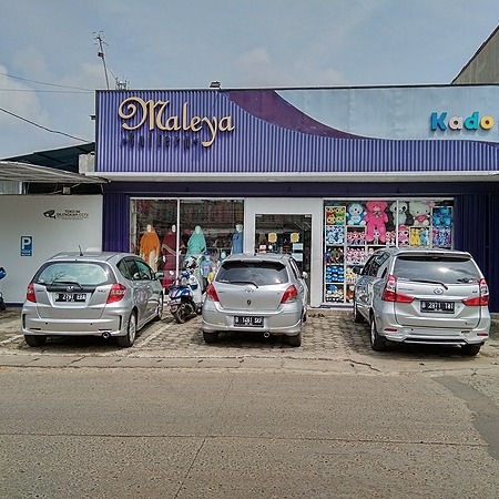 @maleya_gallery | Linktree