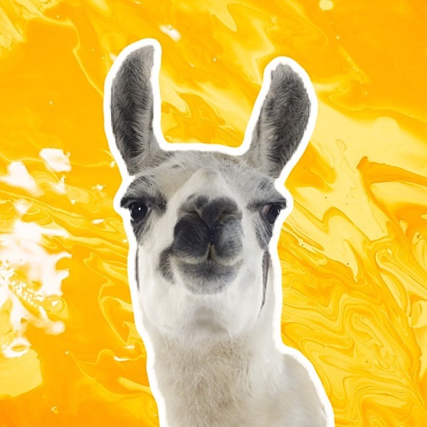EPIC LLAMA | Linktree