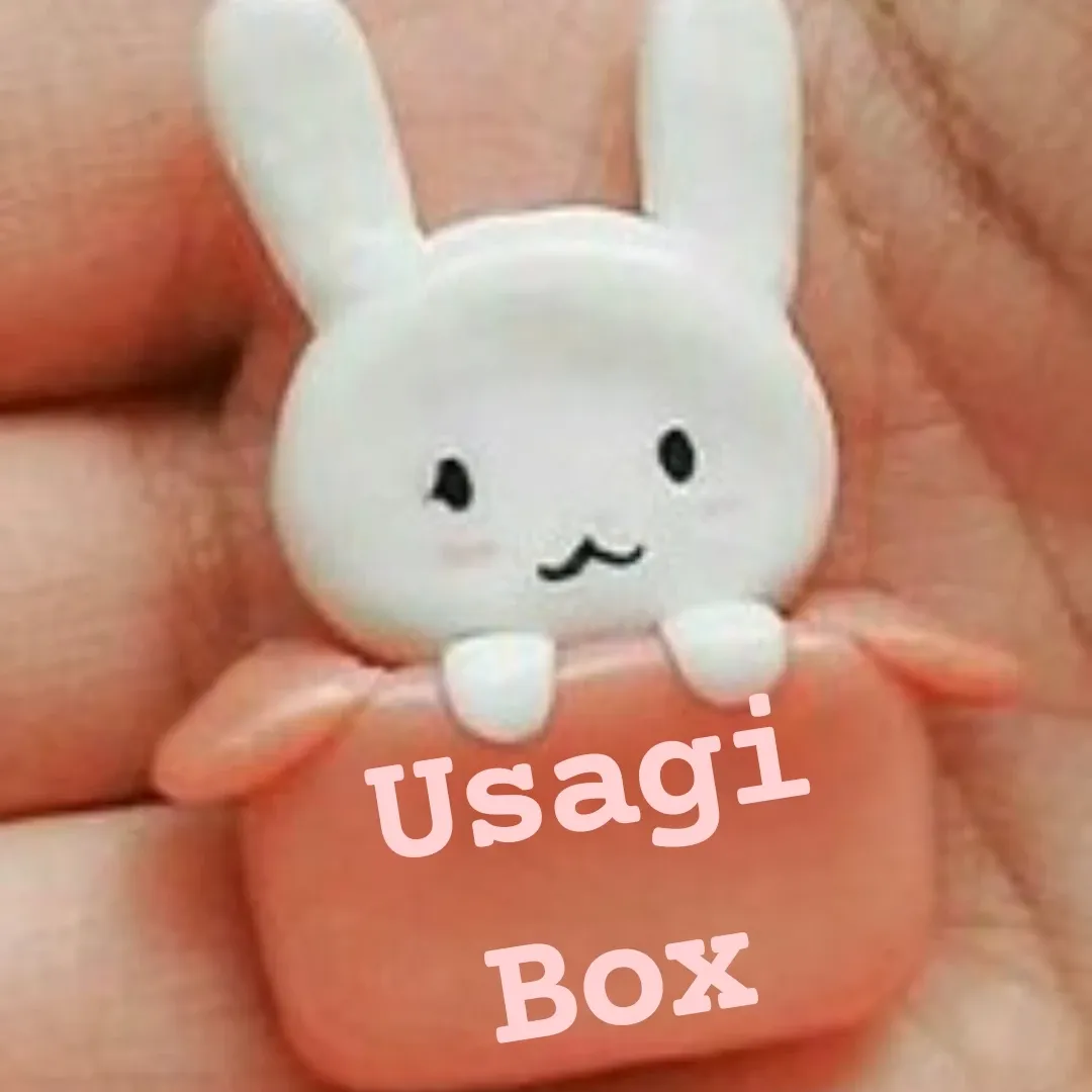 Loja Usagi Box | Linktree