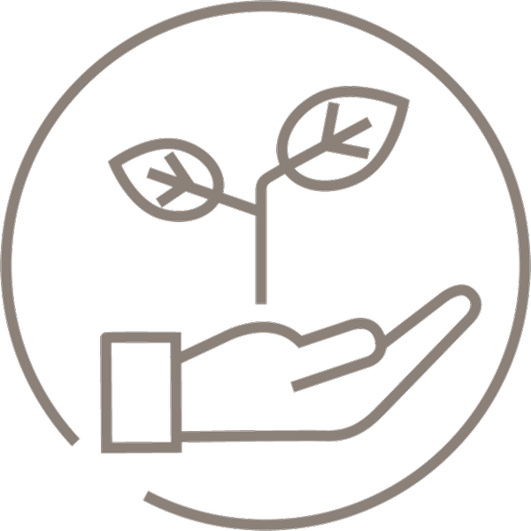 Independent Collection | Linktree