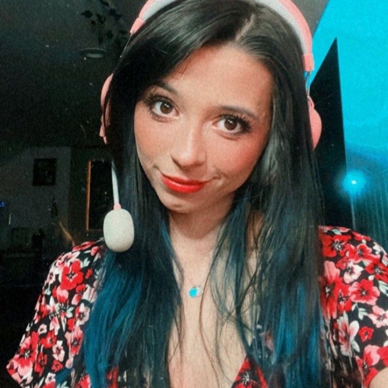 Firewall Fox | Twitter, Instagram, TikTok, Twitch | Linktree