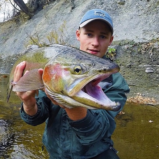 @Fishlikemike | Linktree