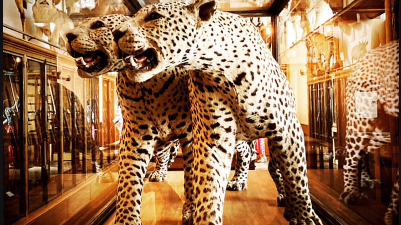 thefrenchhack | Facebook | Linktree