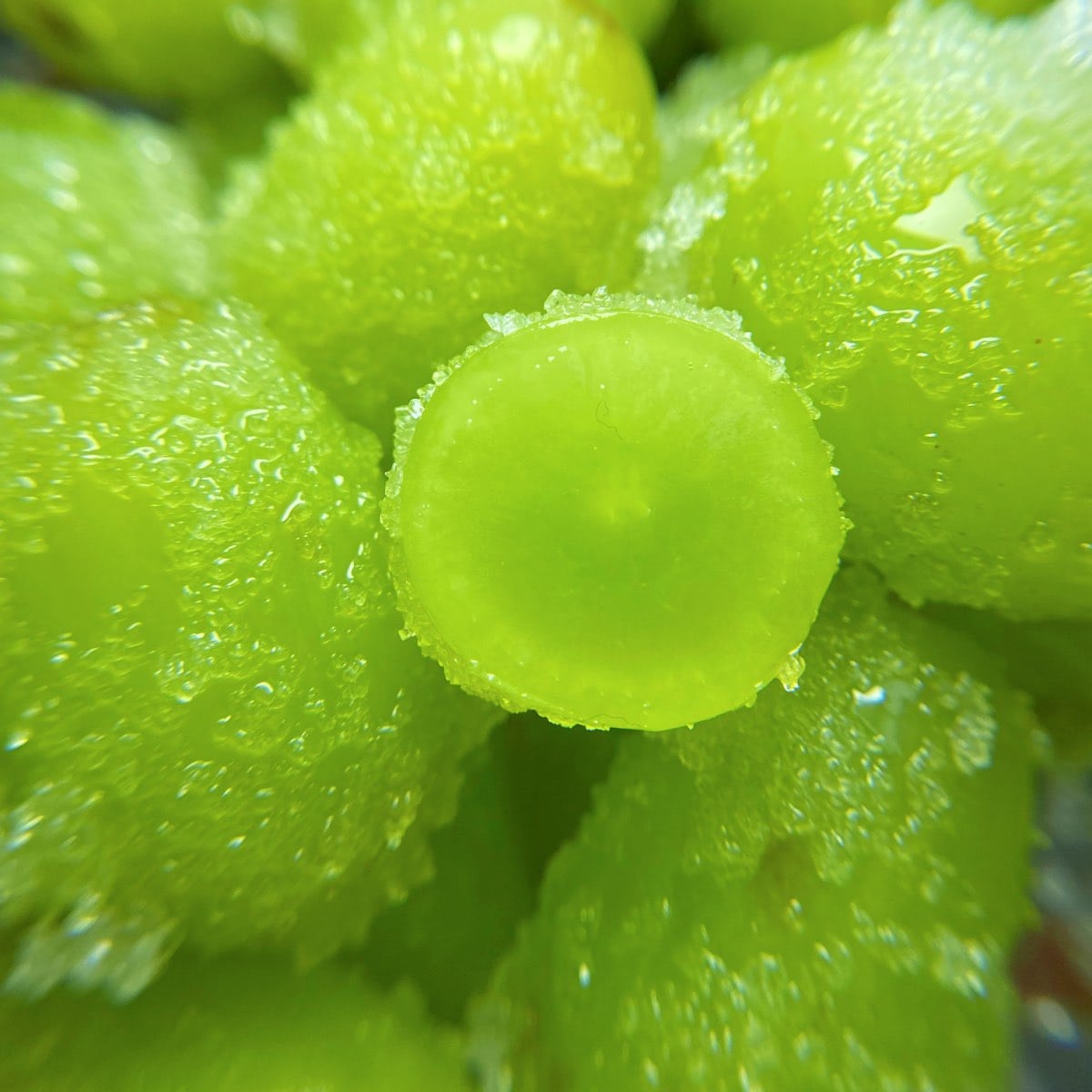 Arman | The Big Man's World ® | Instagram, TikTok | Linktree