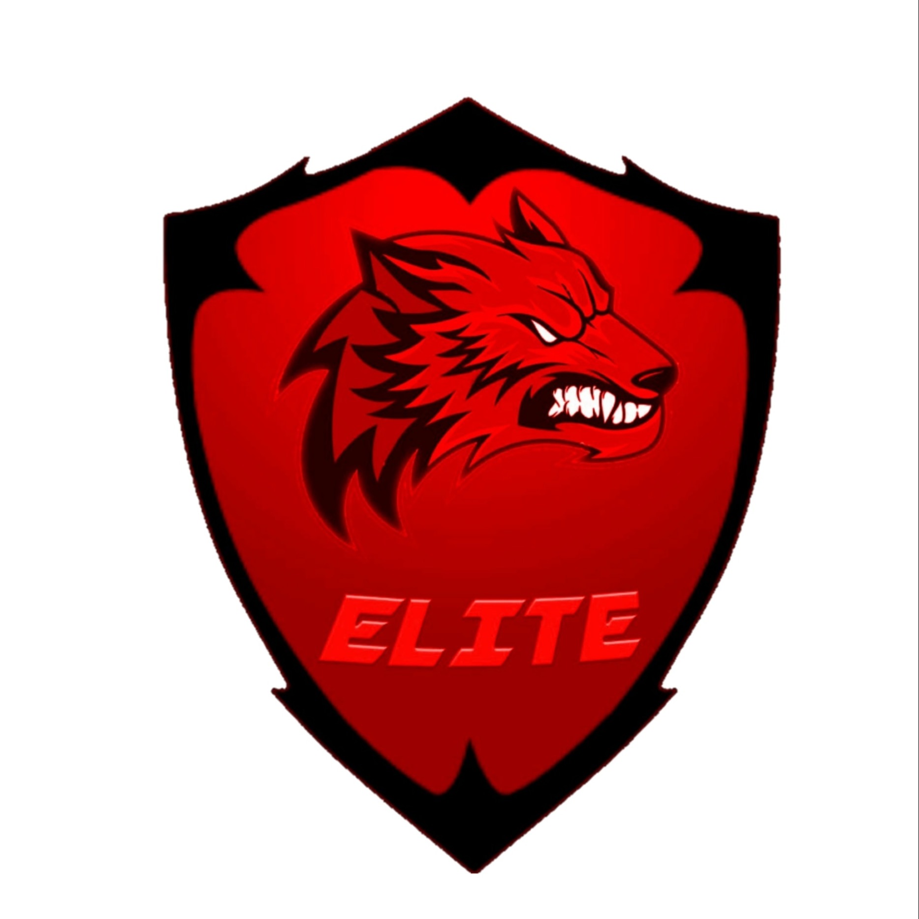 @Team_elite | Linktree