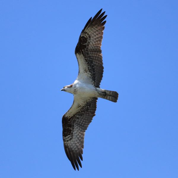 Taylor Johansen Photography | Instagram | Linktree