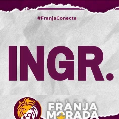 CECE - Franja Morada | Instagram | Linktree