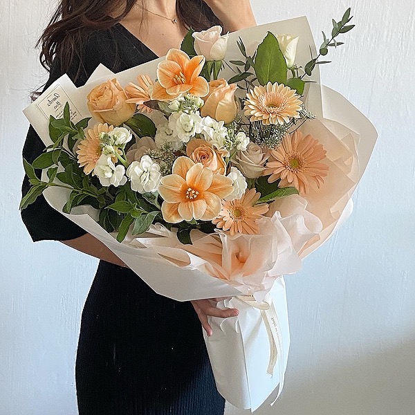 @amelia_fleur_ | Linktree