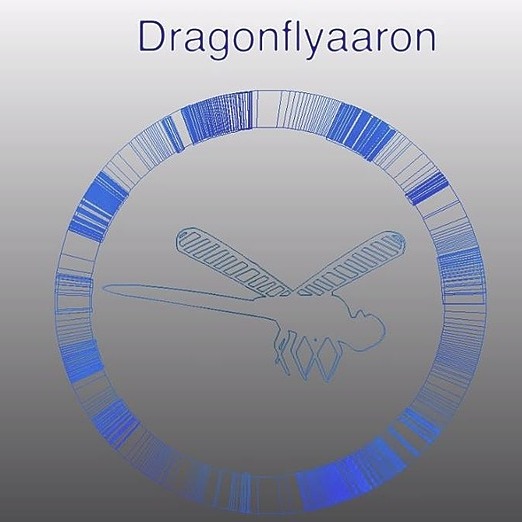 Dragonflyaaron | Instagram, Twitch | Linktree