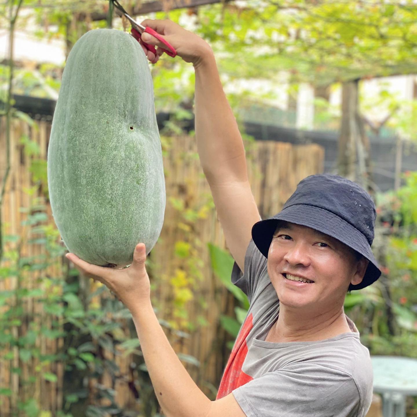 Daniel Goh - Air Plant Artisan | Instagram, Facebook | Linktree