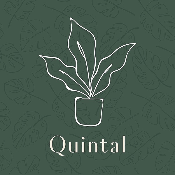 Quintal | Linktree