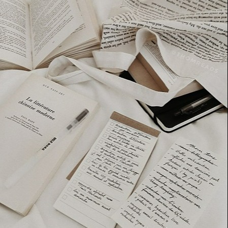 PLE Research Program | Linktree