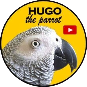 Hugo the Parrot | Twitter, Instagram, Facebook | Linktree