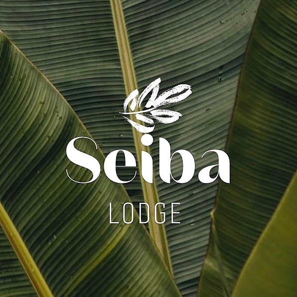 @Seiba_lodge | Linktree
