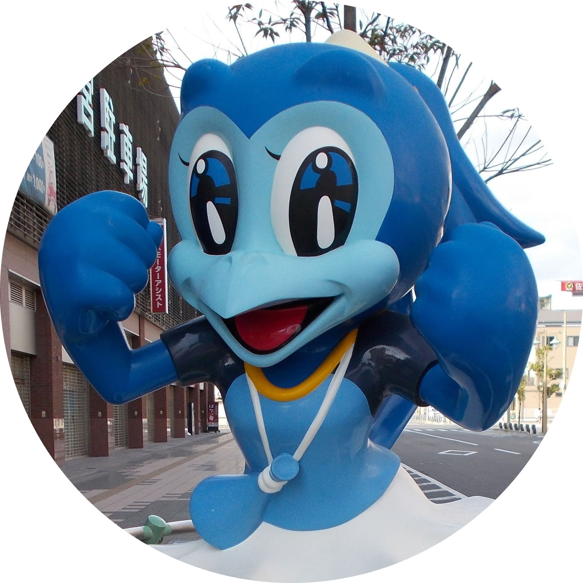 KOCHAN | Twitter, Instagram, TikTok | Linktree