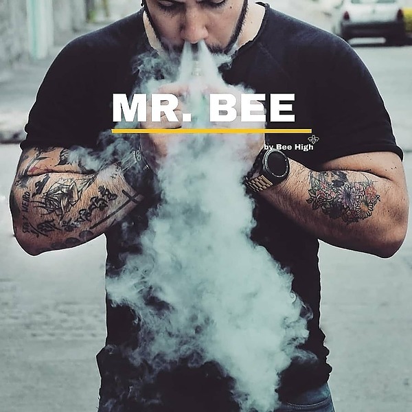 Mr Bee 🐝👑 | Twitter, Instagram, YouTube, Facebook, Twitch | Linktree