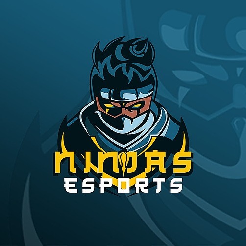 NINJAS ESPORTS | Twitter, Instagram, Twitch | Linktree