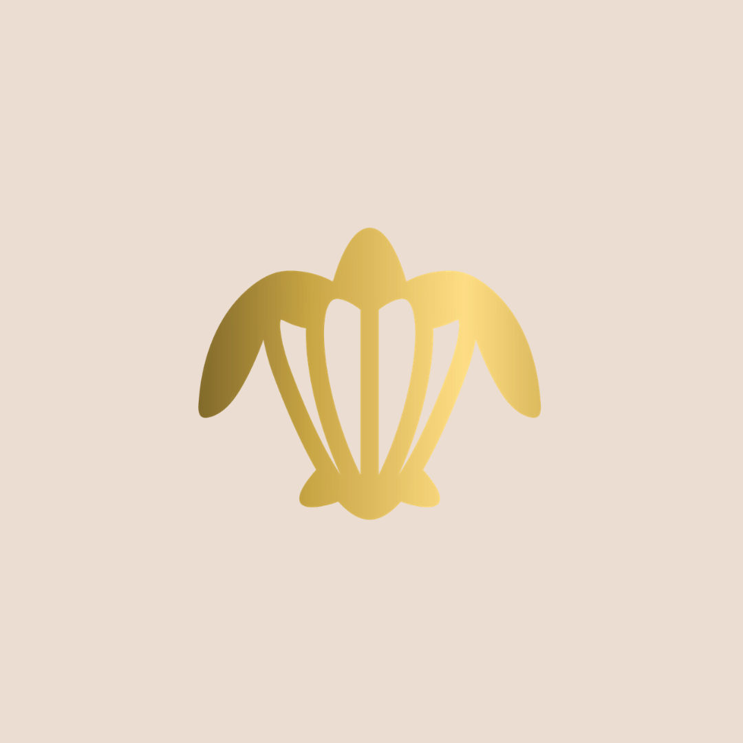 baula | Instagram | Linktree