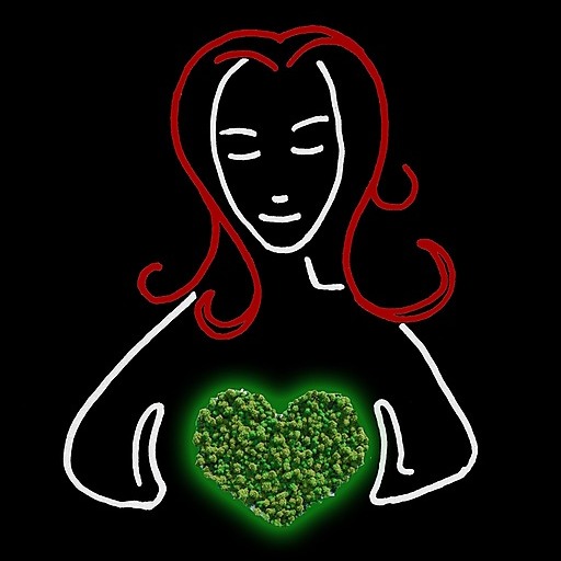 JAYNE MARIN | Linktree