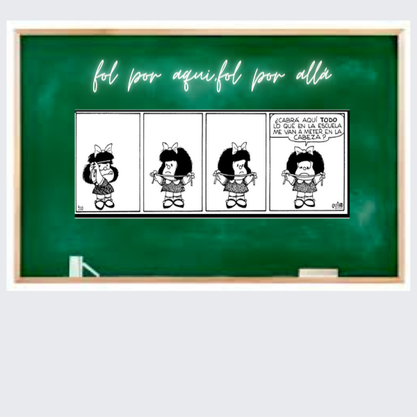 @Amanda.Fol | Linktree