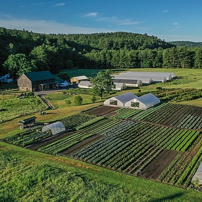 @neversinkfarm | Linktree