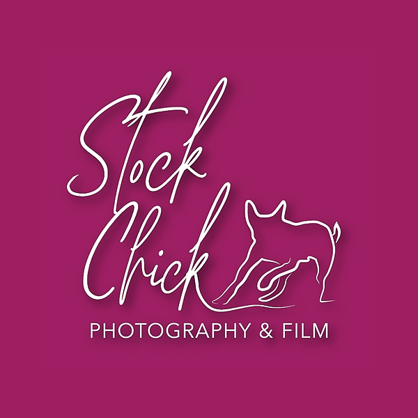 @StockChickFilms | Linktree