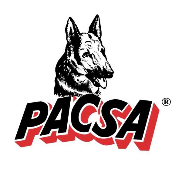 PACSA👟 | TikTok | Linktree