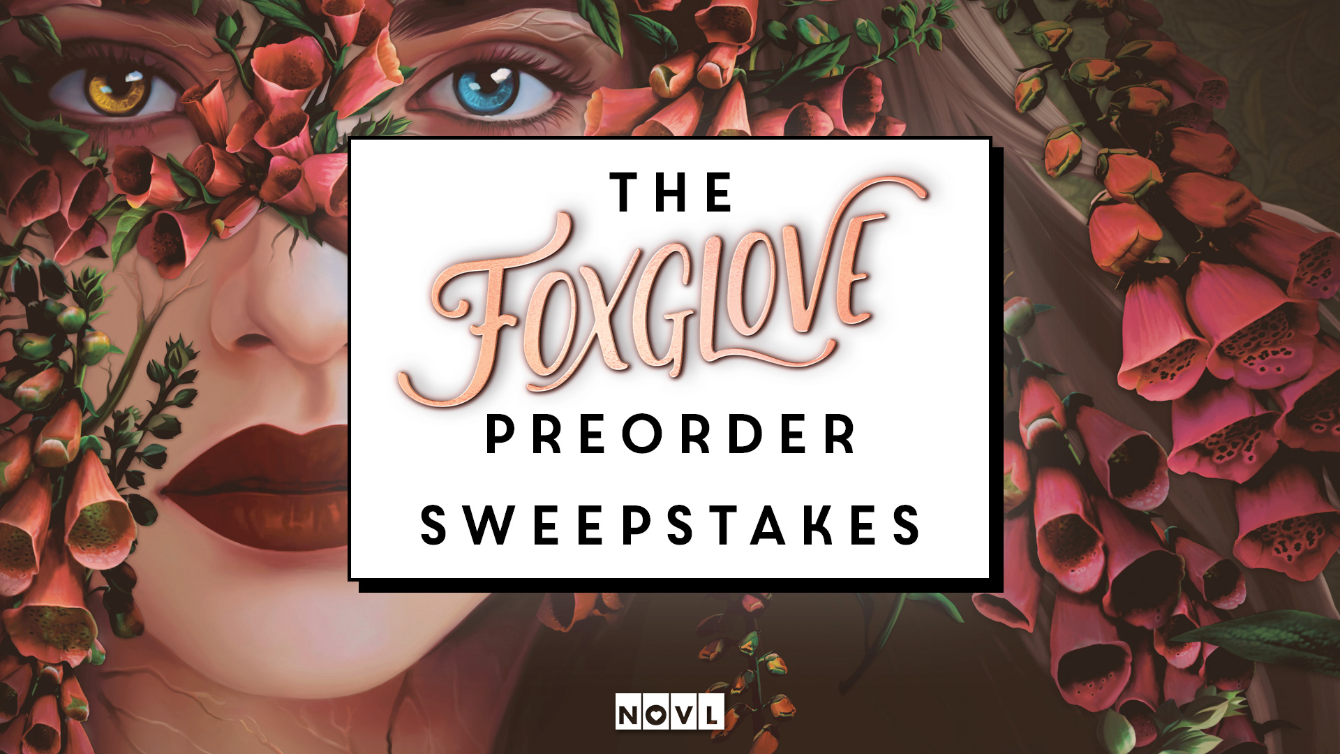 thenovl | Twitter, Instagram, Facebook, TikTok | Linktree