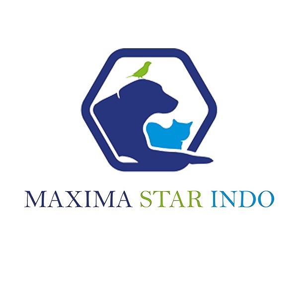 MAXIMA STAR INDO | TikTok | Linktree
