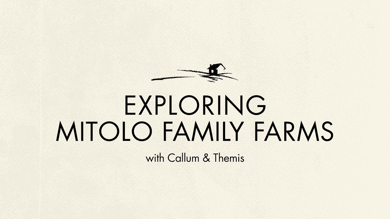 Mitolo Family Farms | Instagram, Facebook | Linktree