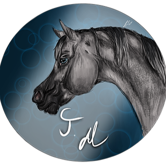 jorvik_mystery | Instagram, TikTok | Linktree